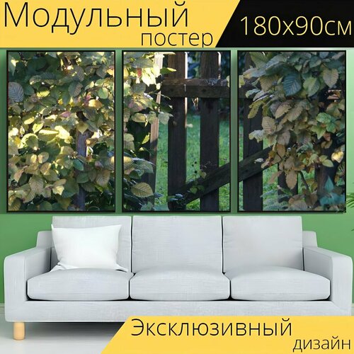 Модульный постер "Садовые ворота, живая изгородь, садовый забор" 180 x 90 см. для интерьера