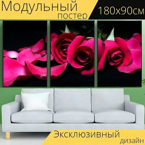 Модульный постер "Роза, цветок, макро фото" 180 x 90 см. для интерьера
