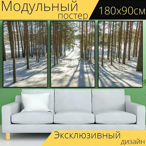 Модульный постер "Зима, сестрорецк, февраль" 180 x 90 см. для интерьера