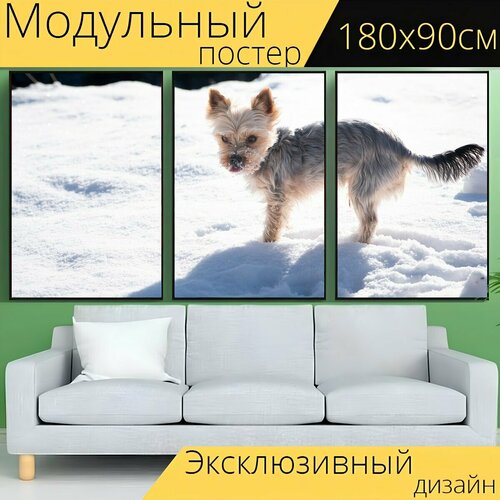 Модульный постер "Собака, снег, зима" 180 x 90 см. для интерьера