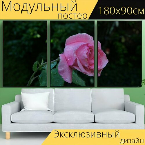 Модульный постер "Розы, розовый, сад" 180 x 90 см. для интерьера