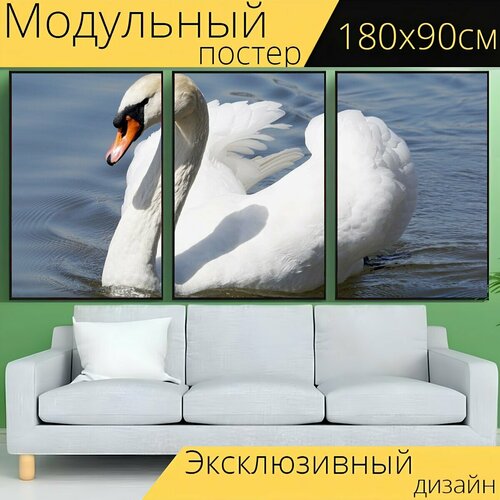 Модульный постер "Лебедь, птица, дикая природа" 180 x 90 см. для интерьера