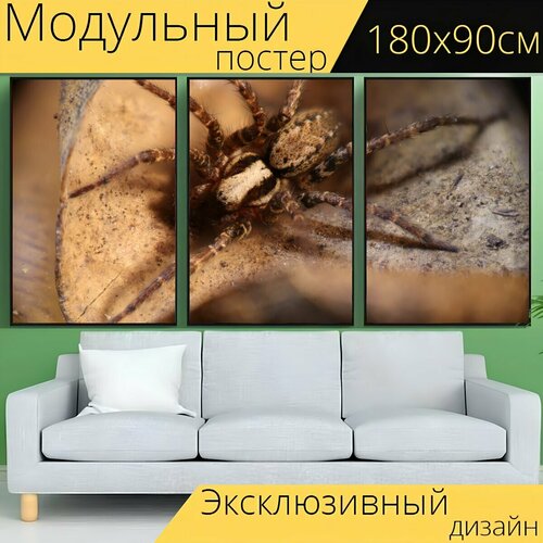 Модульный постер "Паукообразный, насекомое, природа" 180 x 90 см. для интерьера