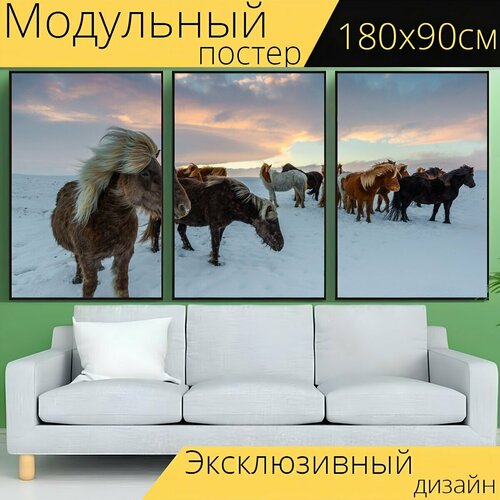 Модульный постер "Исландские лошади, зима, морозный" 180 x 90 см. для интерьера