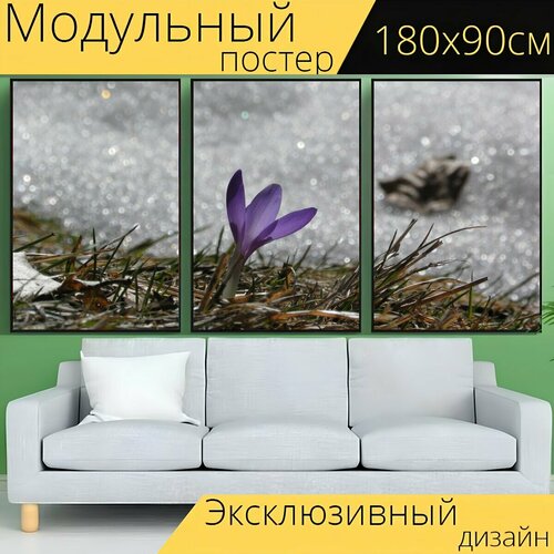 Модульный постер "Крокус, цветок, снег" 180 x 90 см. для интерьера