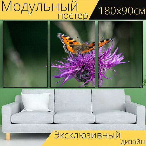 Модульный постер "Бабочка, животное, насекомое" 180 x 90 см. для интерьера