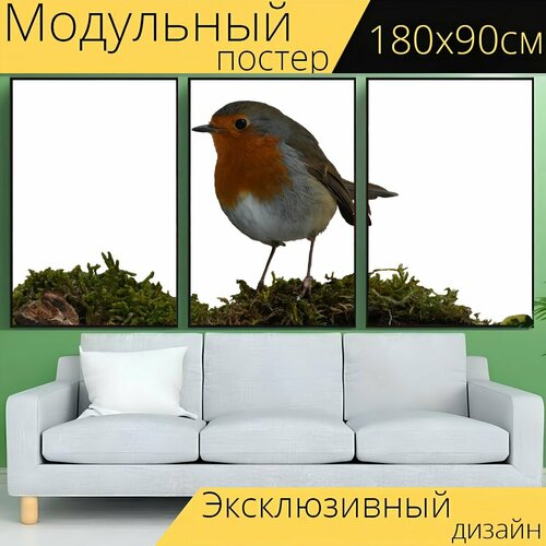 Модульный постер "Робин, птица, малые" 180 x 90 см. для интерьера