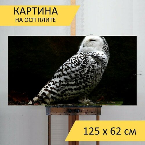 Картина на ОСП 125х62 см. "Снежная сова, животное, перья" горизонтальная, для интерьера, с креплениями