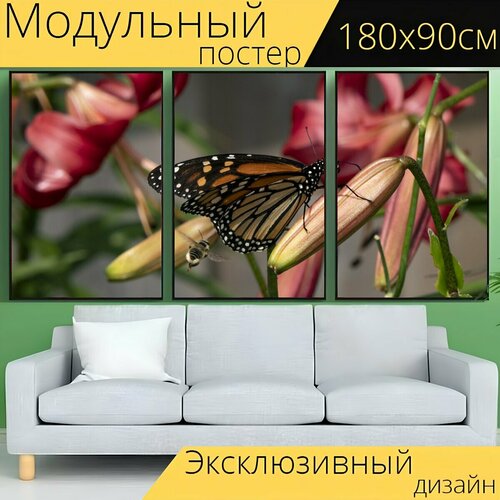 Модульный постер "Бабочка, монарх, пчела" 180 x 90 см. для интерьера