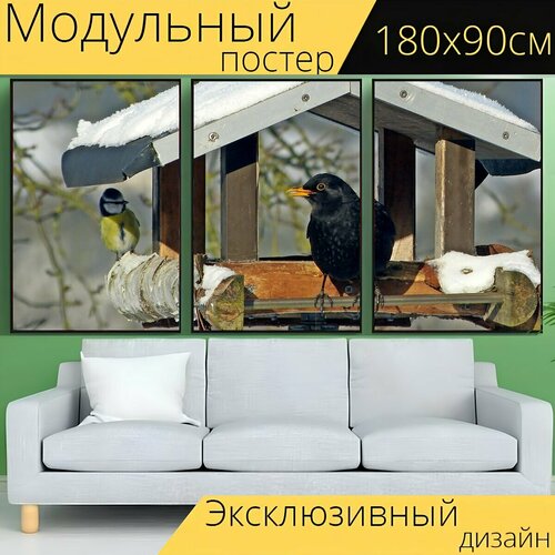 Модульный постер "Птичий домик, черный дрозд, синица" 180 x 90 см. для интерьера