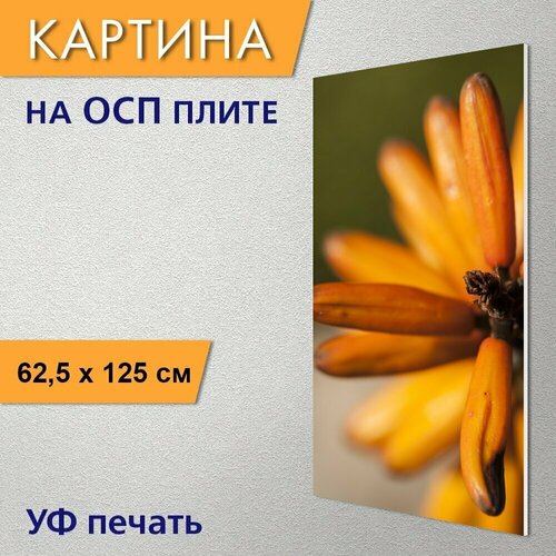 Вертикальная картина на ОСП "Цветок, макро, природа" 62x125 см. для интерьериа