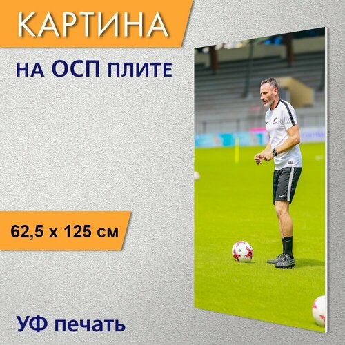 Вертикальная картина на ОСП "Футбол, футбольный, мумбаи" 62x125 см. для интерьериа