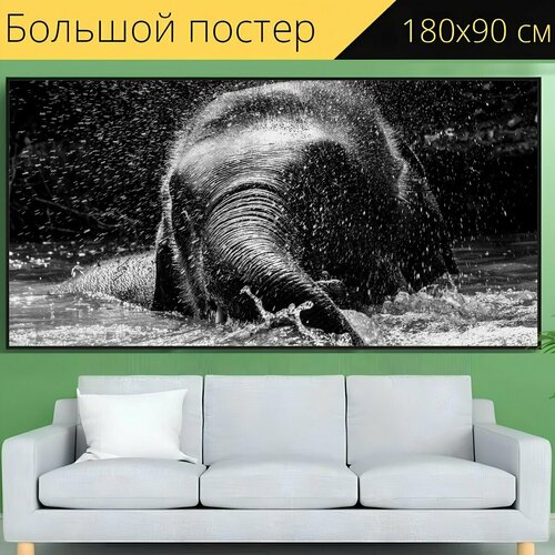 Большой постер "Слон, вода, играющий" 180 x 90 см. для интерьера