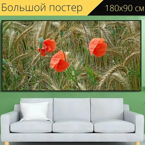 Большой постер "Зерновой, маки, поле" 180 x 90 см. для интерьера