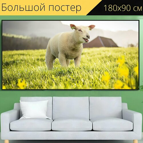 Большой постер "Весна, луг, овец" 180 x 90 см. для интерьера