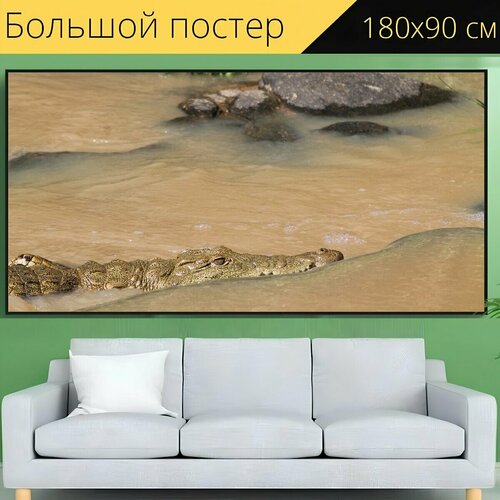 Большой постер "Крокодил, дикая природа, рептилия" 180 x 90 см. для интерьера