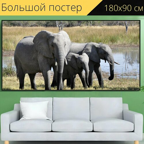 Большой постер "Слоны, африке, дельта окаванго" 180 x 90 см. для интерьера