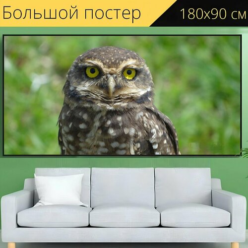 Большой постер "Сова, птица, хищник" 180 x 90 см. для интерьера