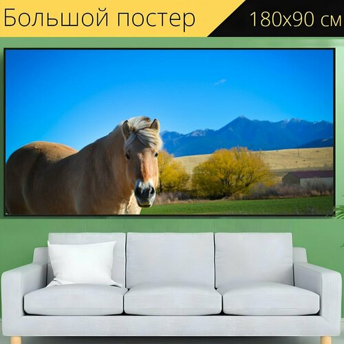 Большой постер "Монтана, лошадь, горный хребет" 180 x 90 см. для интерьера