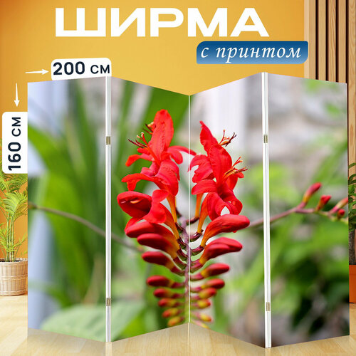 Ширма перегородка с принтом "Цветы, растения, красный цвет" на холсте - 200x160 см. для зонирования, раскладная