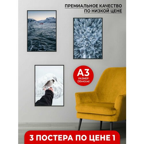 Набор зимних постеров с природой на стену 30x40 см