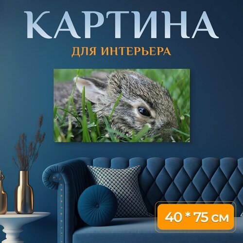 Картина на холсте "Кролик, детка, милый" на подрамнике 75х40 см. для интерьера