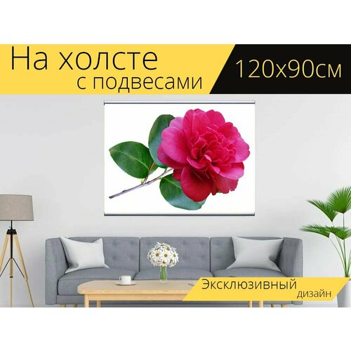 Картина на холсте "Камелия, цветок, красный цветок" с подвесами 120х90 см. для интерьера