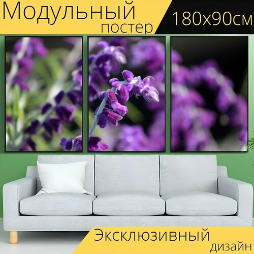Модульный постер "Мудрец, цветы, фиолетовый" 180 x 90 см. для интерьера
