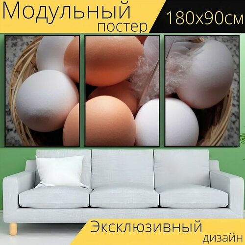 Модульный постер "Яйца, куриные яйца, пасхальный" 180 x 90 см. для интерьера