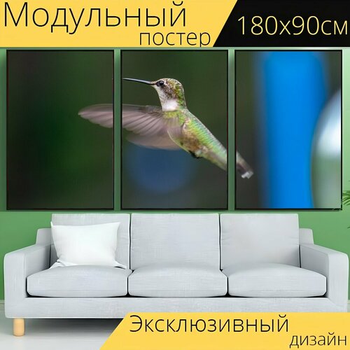 Модульный постер "Птица, природа, колибри" 180 x 90 см. для интерьера