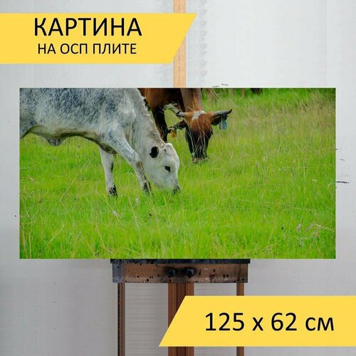 Картина на ОСП 125х62 см. "Корова, телец, домашний скот" горизонтальная, для интерьера, с креплениями