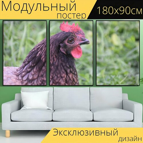 Модульный постер "Курица, курица новой, животное" 180 x 90 см. для интерьера