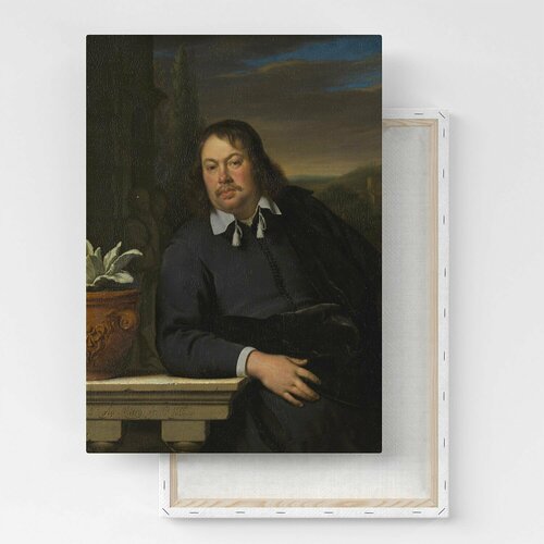 Картина на холсте, репродукция / Ван Мирис, Франс - Portrait of Florentius Schuyl / Размер 40 x 53 см