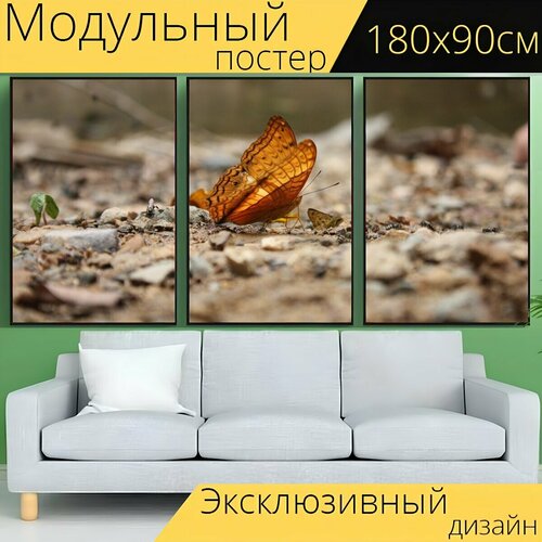 Модульный постер "Бабочка, национальный парк, рапидс" 180 x 90 см. для интерьера