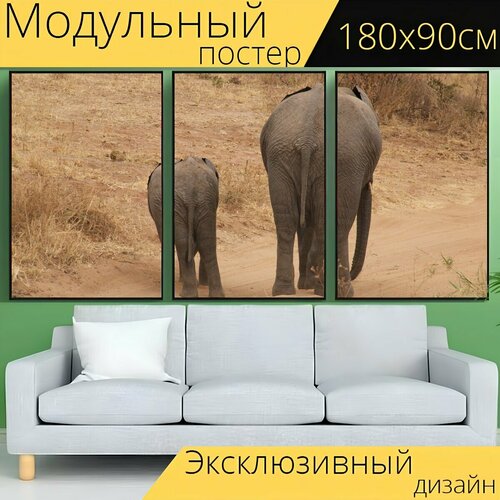 Модульный постер "Слоны, животные, сафари" 180 x 90 см. для интерьера