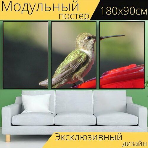 Модульный постер "Птица, колибри, дикая природа" 180 x 90 см. для интерьера