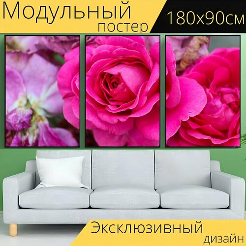 Модульный постер "Цветок, роза, лепестки" 180 x 90 см. для интерьера