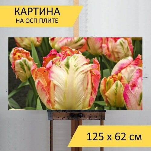 Картина на ОСП 125х62 см. "Тюльпан, цветы, сад" горизонтальная, для интерьера, с креплениями