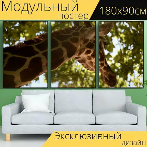 Модульный постер "Жирафа, животные, зоопарк" 180 x 90 см. для интерьера