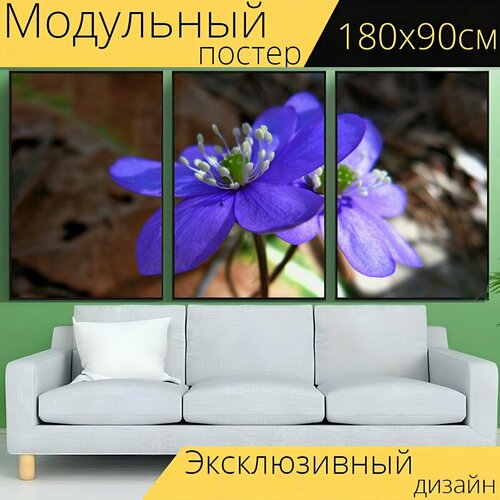 Модульный постер "Цветок, природа, макрос" 180 x 90 см. для интерьера