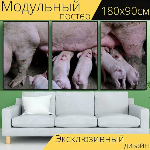 Модульный постер "Свинья, ферм, путешествие" 180 x 90 см. для интерьера