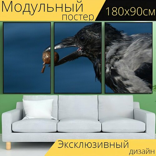 Модульный постер "Ворона, чернить, птица" 180 x 90 см. для интерьера