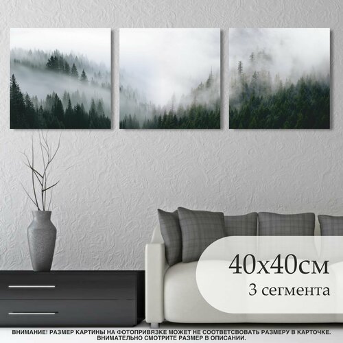 Модульная картина из сегментов на натуральном холсте "туманный ЛЕС" 3 сегмента 40х40см/ Картина для интерьера дома