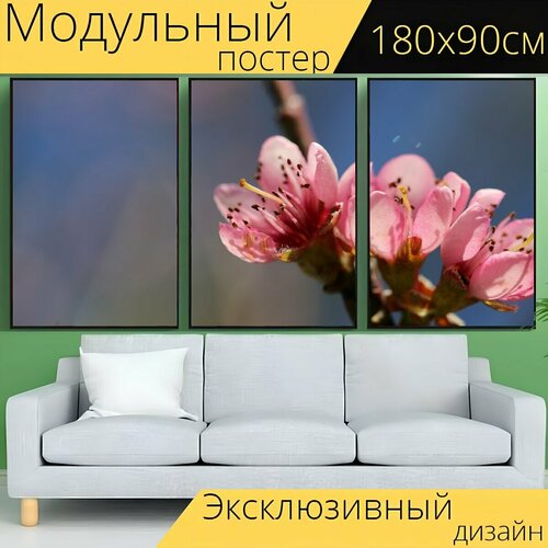 Модульный постер "Цветок, цвести, природа" 180 x 90 см. для интерьера