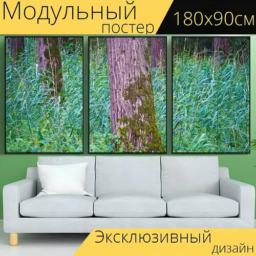 Модульный постер "Лес, деревья, пейзаж" 180 x 90 см. для интерьера