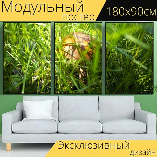 Модульный постер "Гриб, трава, лес" 180 x 90 см. для интерьера