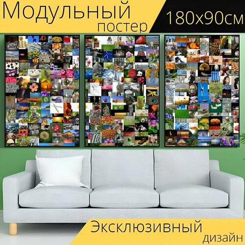 Модульный постер "Картинки, фотографии, коллекция фотографий" 180 x 90 см. для интерьера