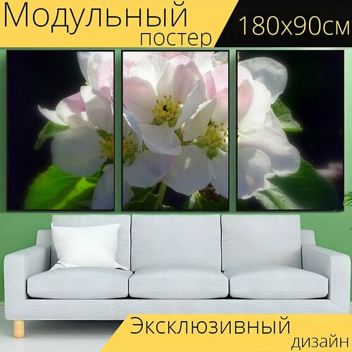 Модульный постер "Цветы, цвести, весна" 180 x 90 см. для интерьера