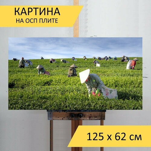 Картина на ОСП 125х62 см. "Чай, ферма, вьетнам" горизонтальная, для интерьера, с креплениями