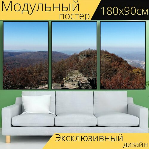 Модульный постер "Лес, горы, парк" 180 x 90 см. для интерьера